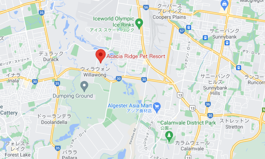 【ブリスベン周辺】おすすめペットホテル”Acacia Ridge Pet Resort” ペットを連れていけない旅行もこれで安心！ | れもん